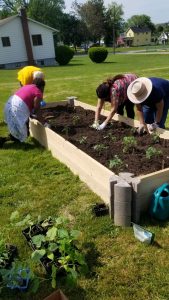 Seed to Supper program returns to Fayette - Herald-Standard